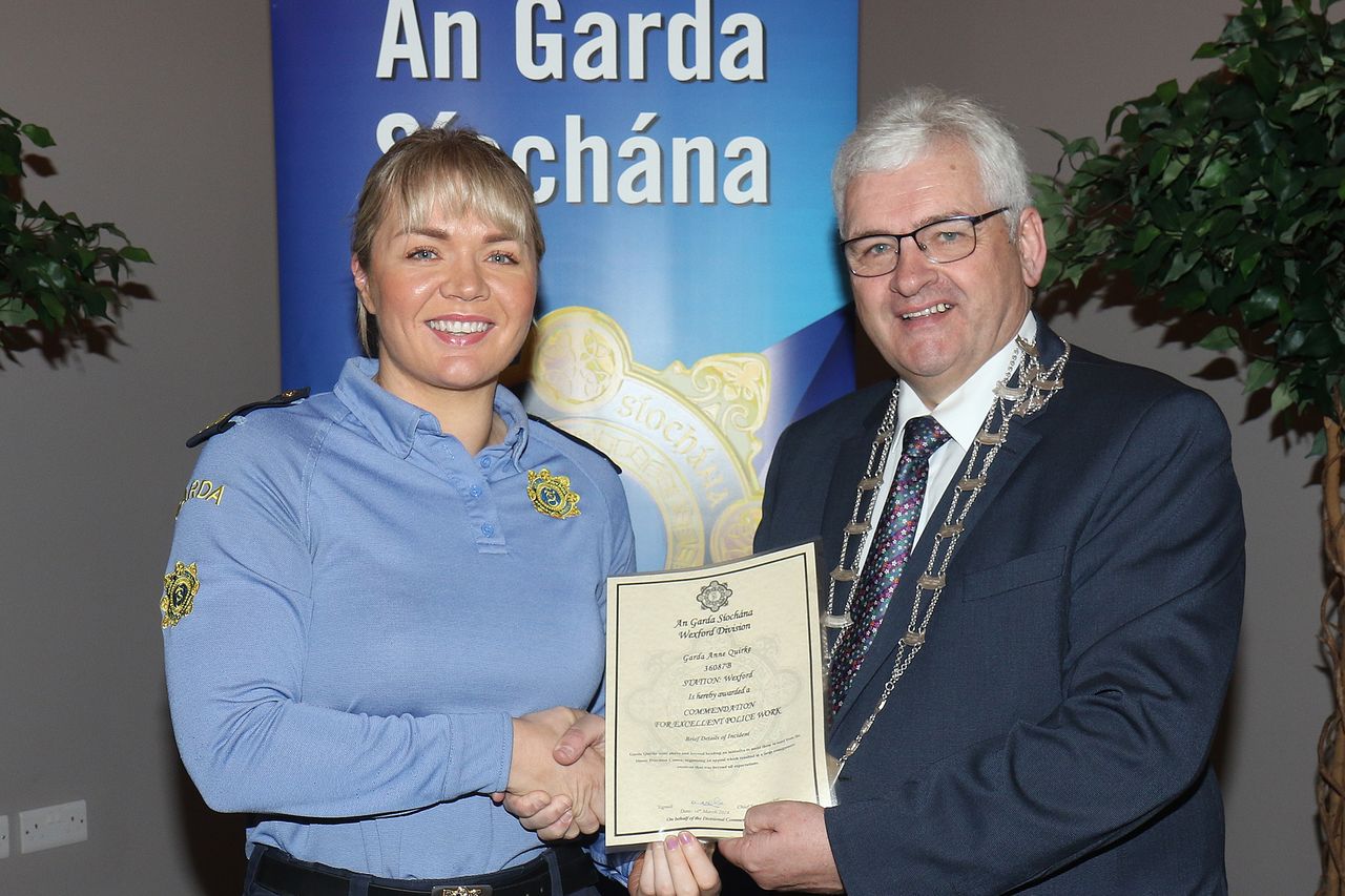 Bravery and dedication of Wexford gardaí recognised at Divisional ...
