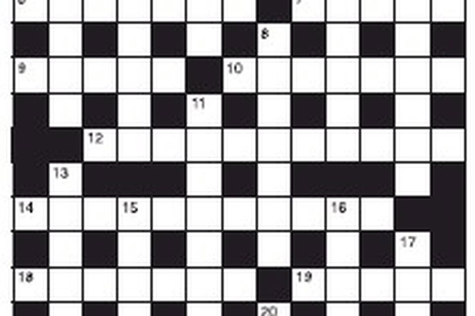 2-Speed Crossword | Irish Independent