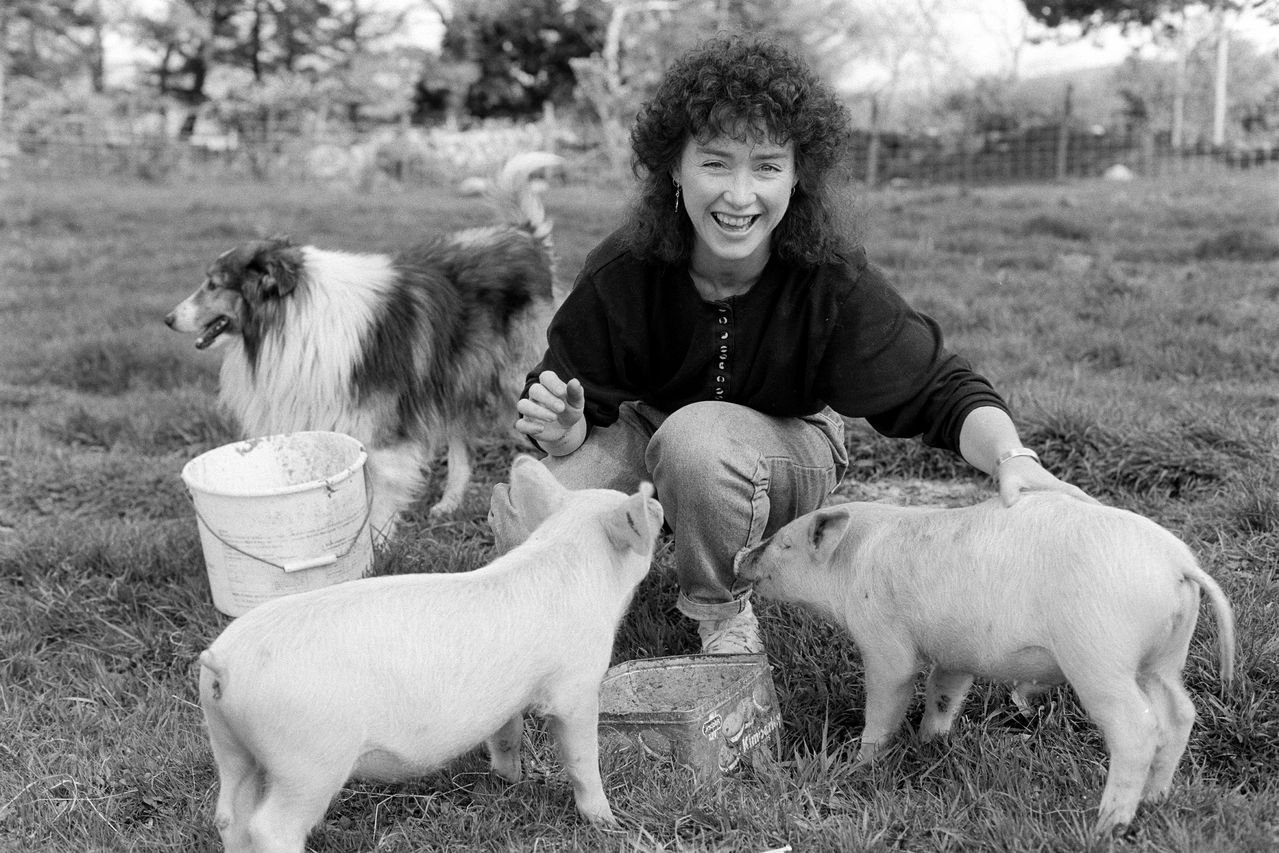Obituary: Gráinne Uí Mhaitiú, broadcaster and artist recognised for ...