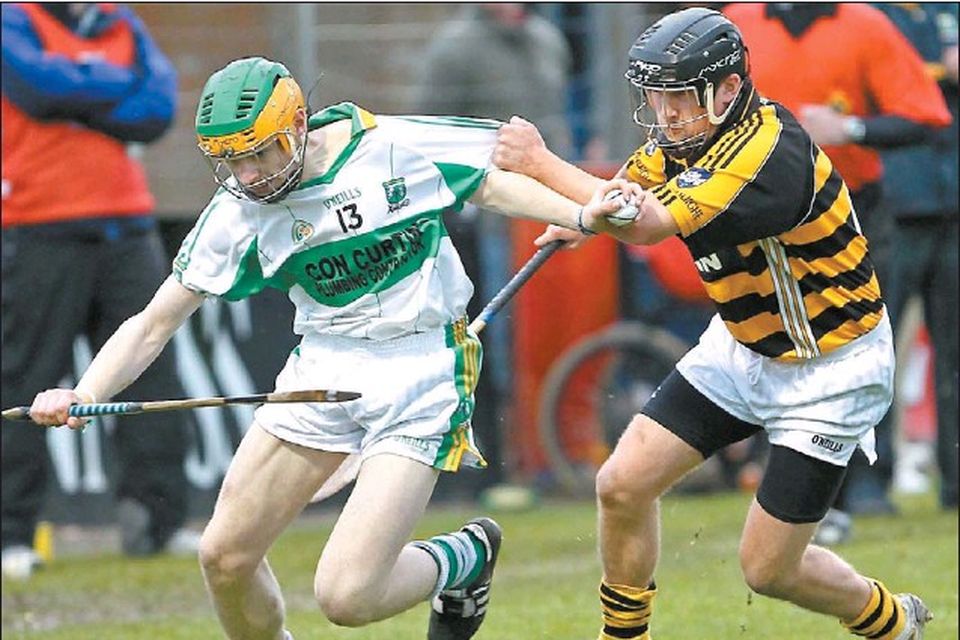 A shot in the arm for Duhallow hurling | Irish Independent
