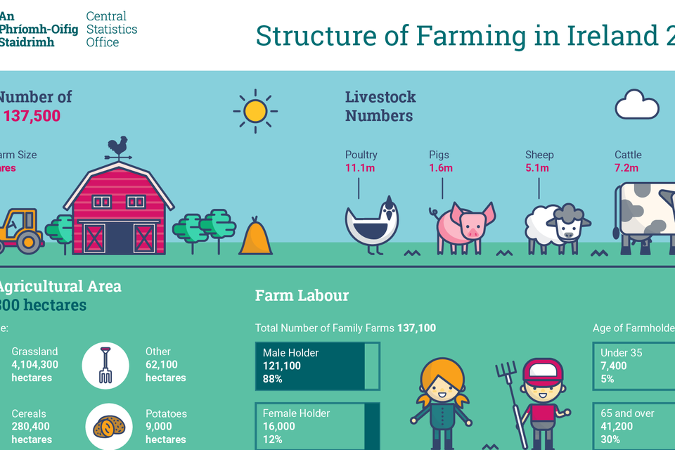 CSO Farm Structure Survey: Everything you need to know about Irish ...