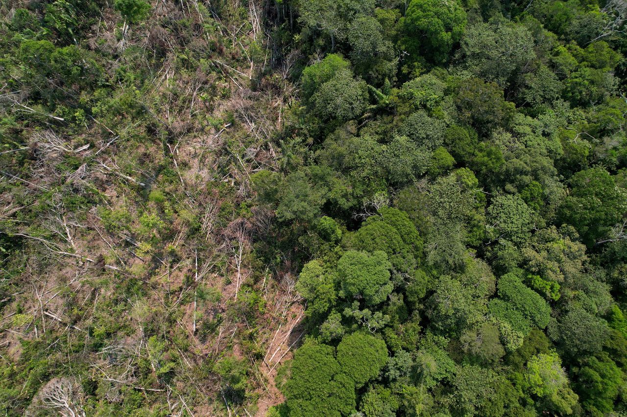 Europe's global green ambitions push too hard once again as it delays ...
