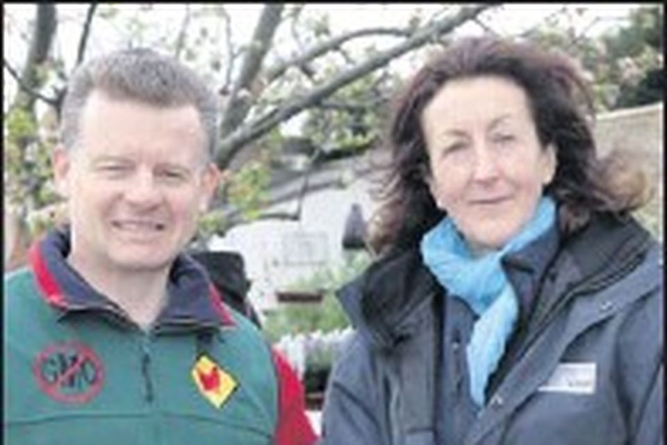 Plant fair in full bloom at Festina Lente | Irish Independent