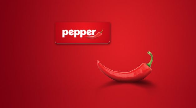Pepper Ireland announces a raft of appointments | Irish Independent