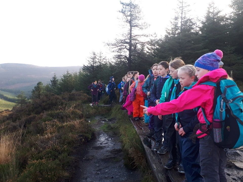 Wicklow scout group seeks new cubs for year of adventure | Irish ...