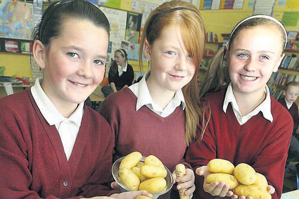 Primaries squeezed for space as numbers soar | Irish Independent