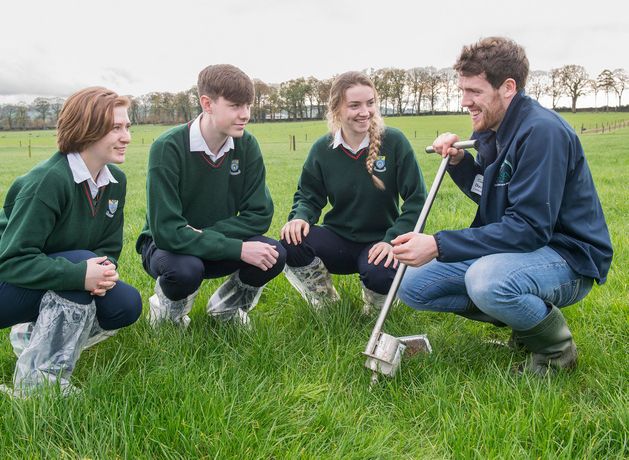 Soil fertility testing is the foundation of good farming | Irish ...