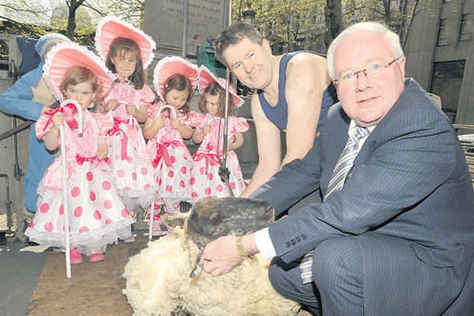 Gearing up for a marathon sheep shearing challenge | Irish Independent