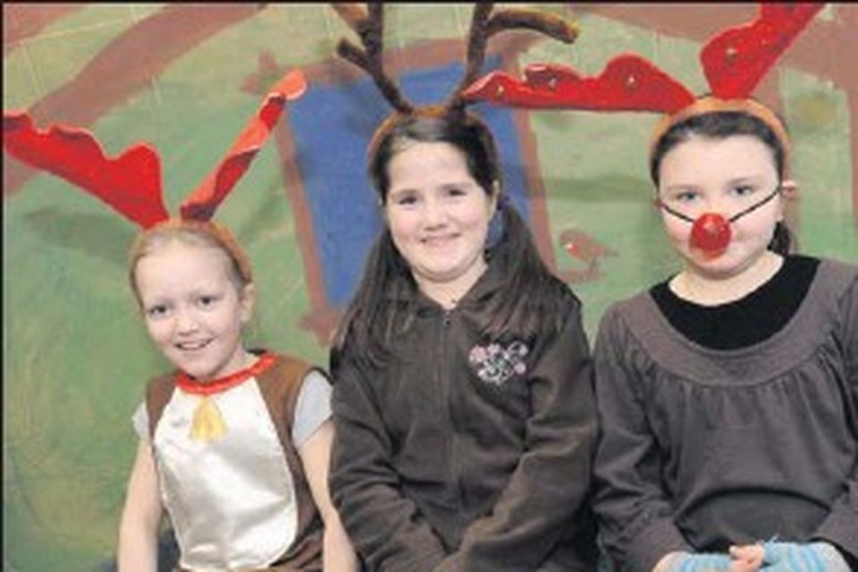 Pupils triumph in Naul nativity show | Irish Independent