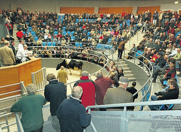State-of-the-art Cork Marts centre opens for business | Irish Independent