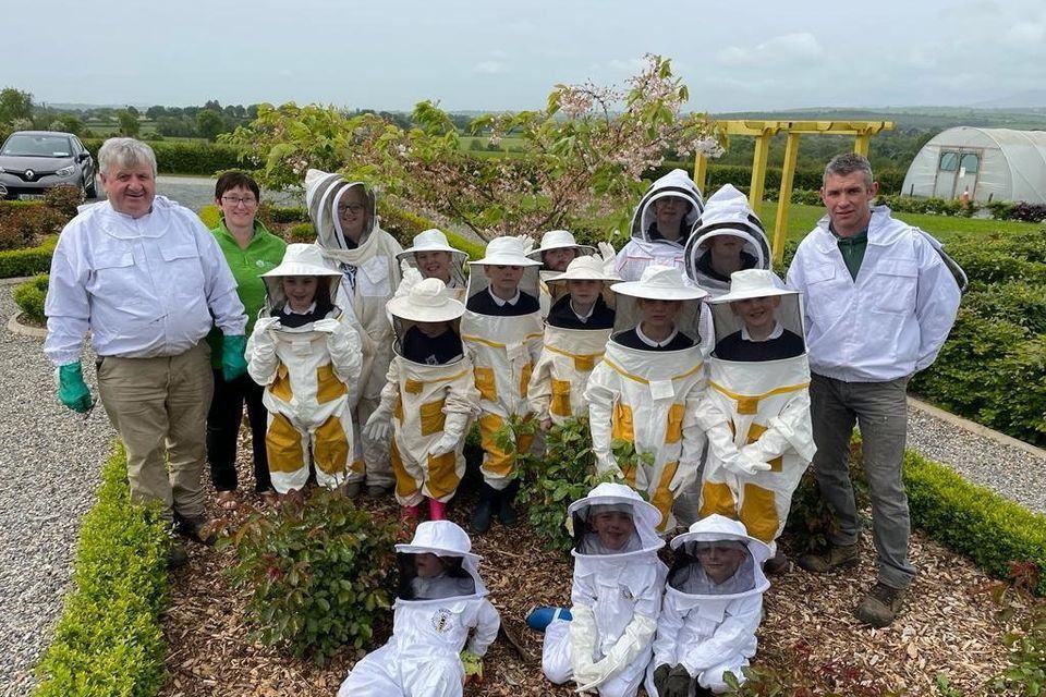 Wexford pupils are buzzing after appearing on RTÉ for World Bee Day ...