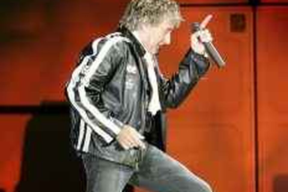Super Stewart's hot legs still wear us out | Irish Independent