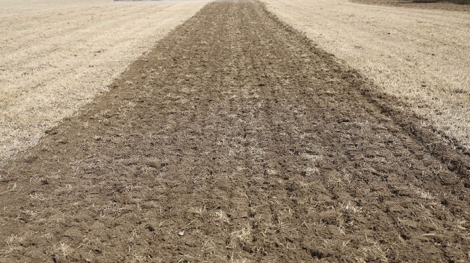 Securing a return on investment through reseeding | Irish Independent