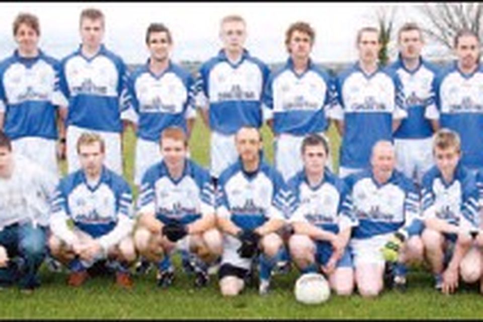 Fourteen-man Ballyhogue clinch Senior 'B' crown in style | Irish ...
