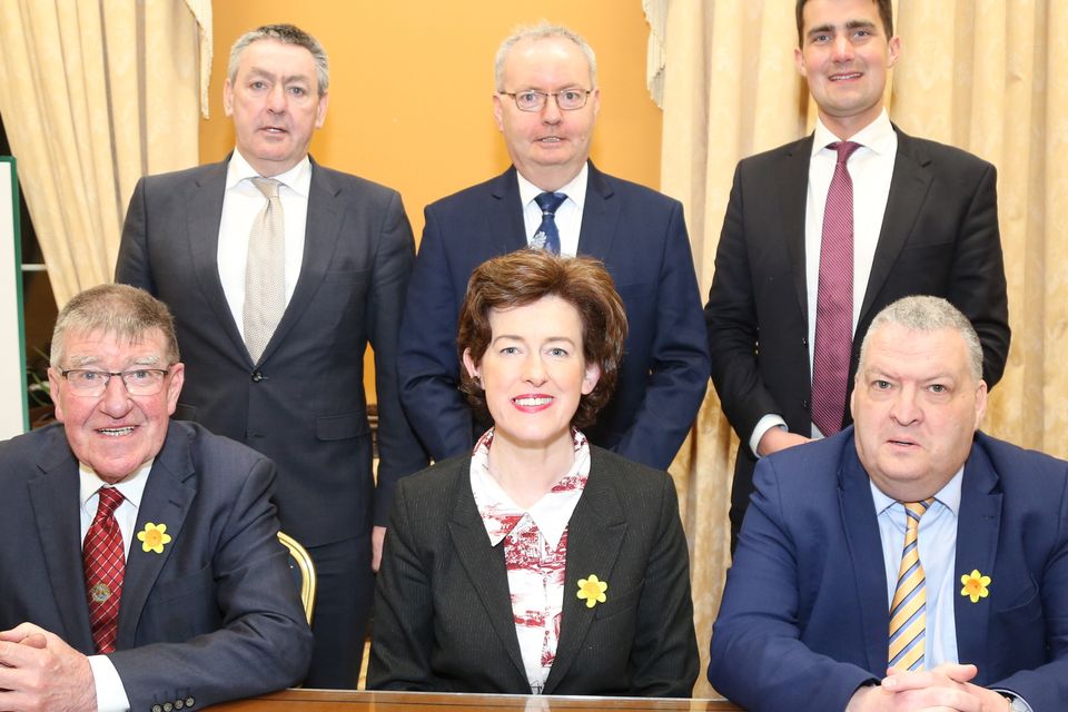 Cork county councillors Bernard Moynihan and Ian Doyle get the nod from ...