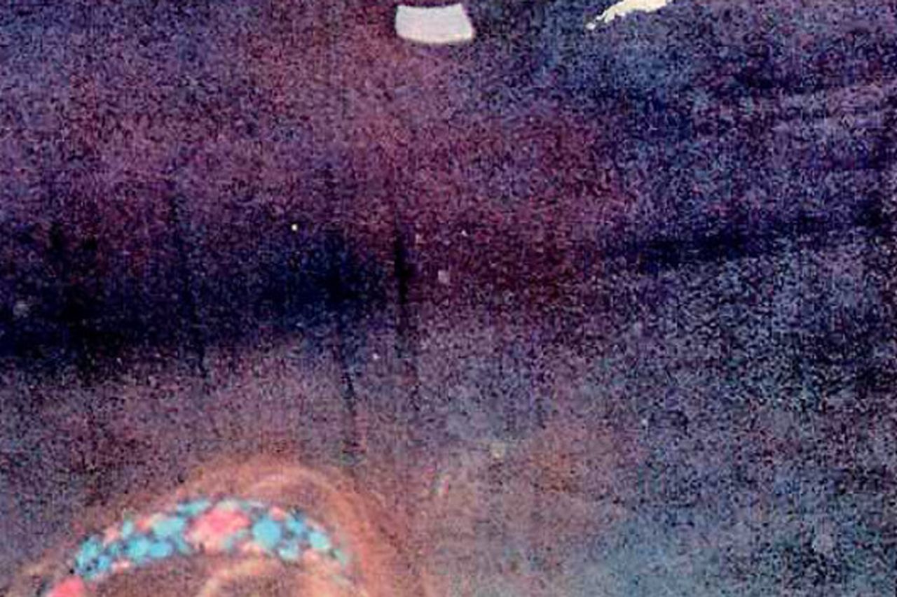 'I'm coming home to prove I'm not a child of rape', says US woman who ...