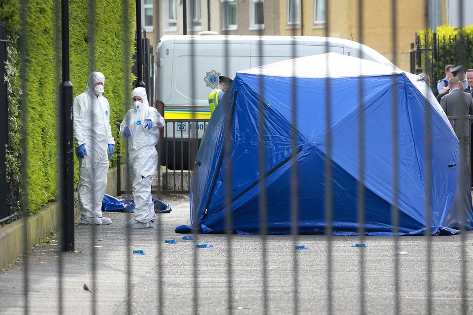 Second Dublin murder victim shot dead as he was wheeling pram with baby ...