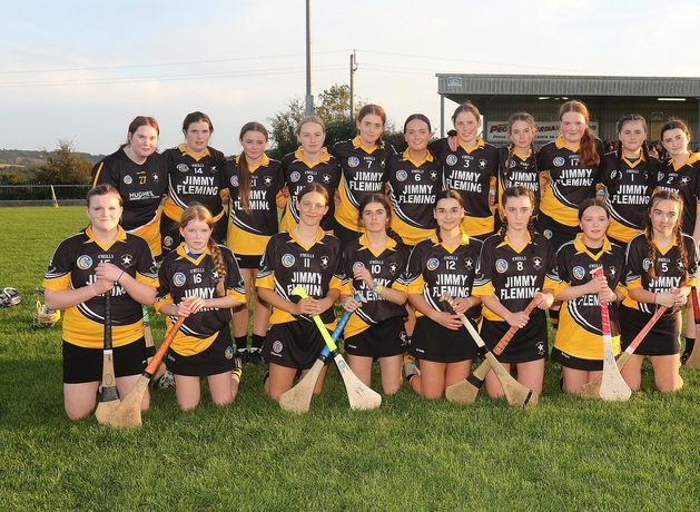 Ballygarrett building for future with Under-16 camogie shield win over ...