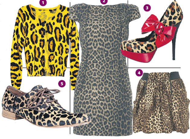 Five of the best Leopard print | Irish Independent