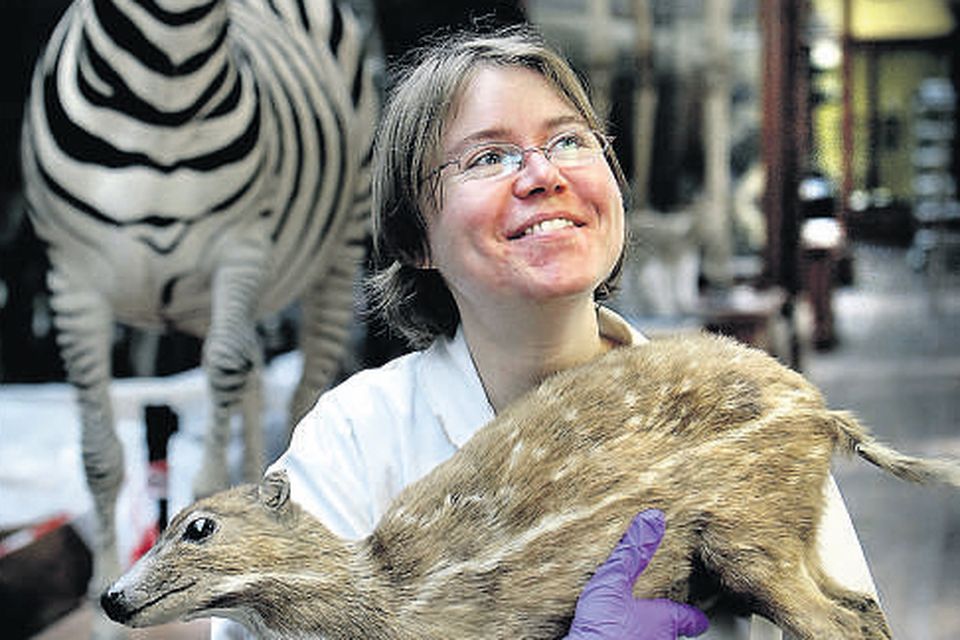 'Dead Zoo' completes its rebirth | Irish Independent