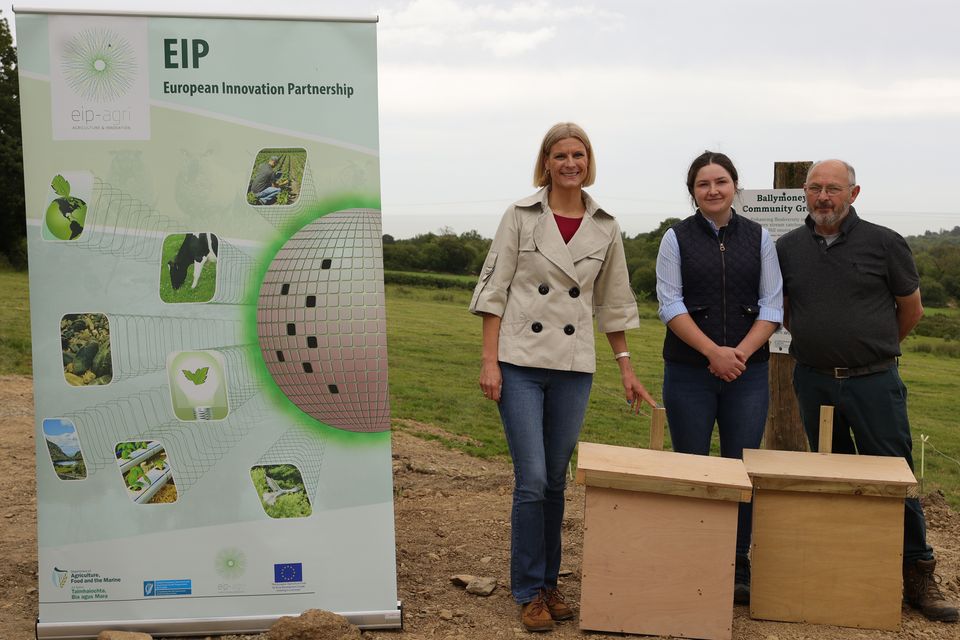 Free Ballymoney event to offer people in Wexford an insight into how ...