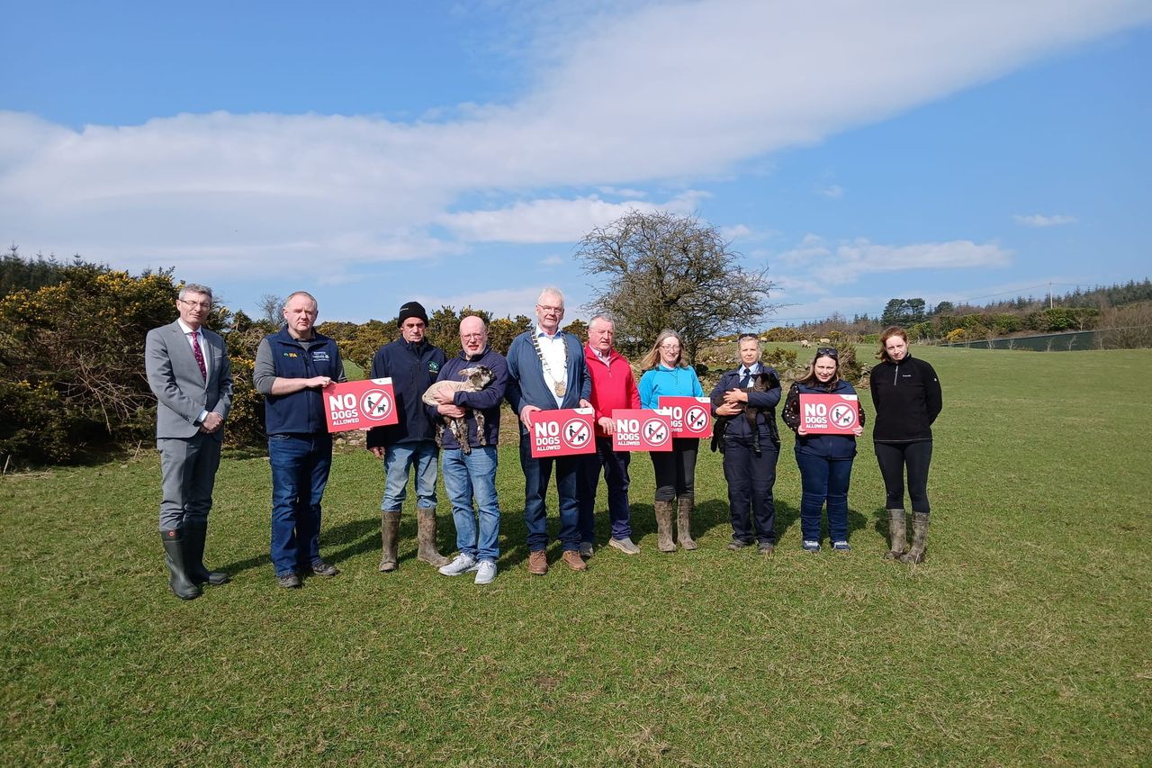 ‘No Dogs Allowed’ campaign launched in Wexford in a bid to stop ...