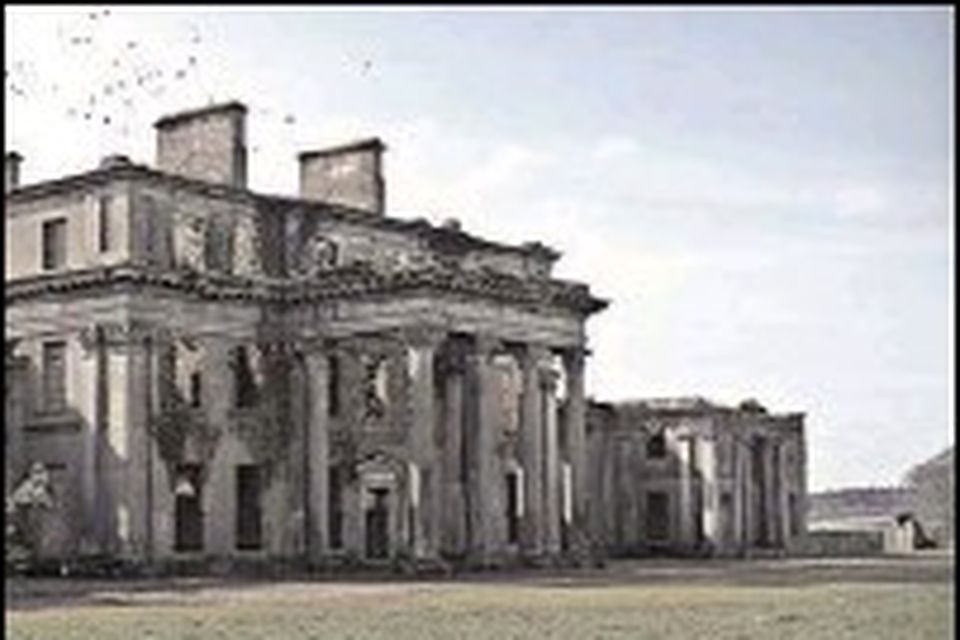 Castleboro inspires book on 'big houses' | Irish Independent