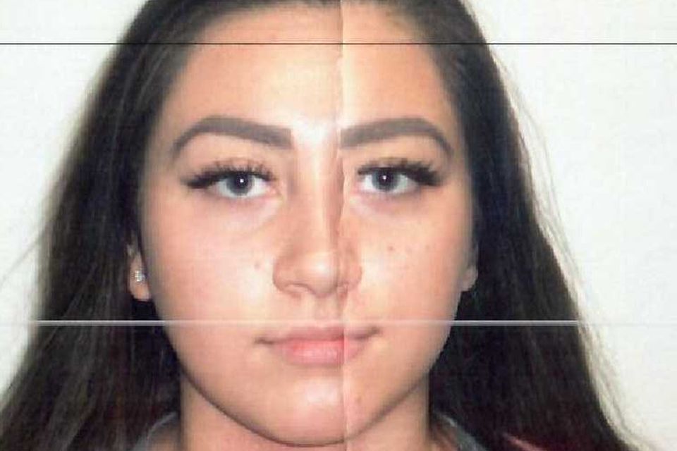 Appeal for information about missing teenage girl | Irish Independent