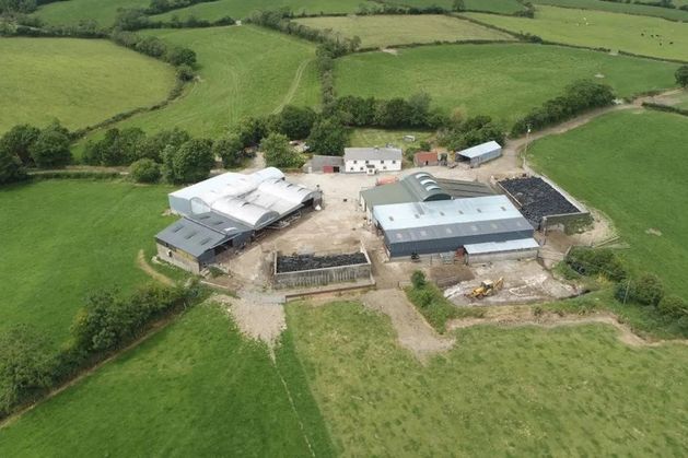 €1.5m Kilmuckridge farm sale one of the largest farm transactions in ...