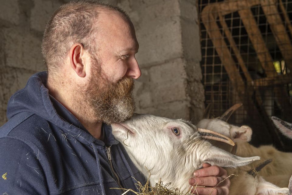 Why this Corkman sold his stock to build his farm business | Irish ...