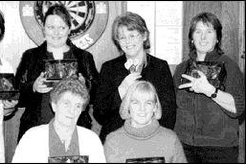 Charity darts night | Irish Independent