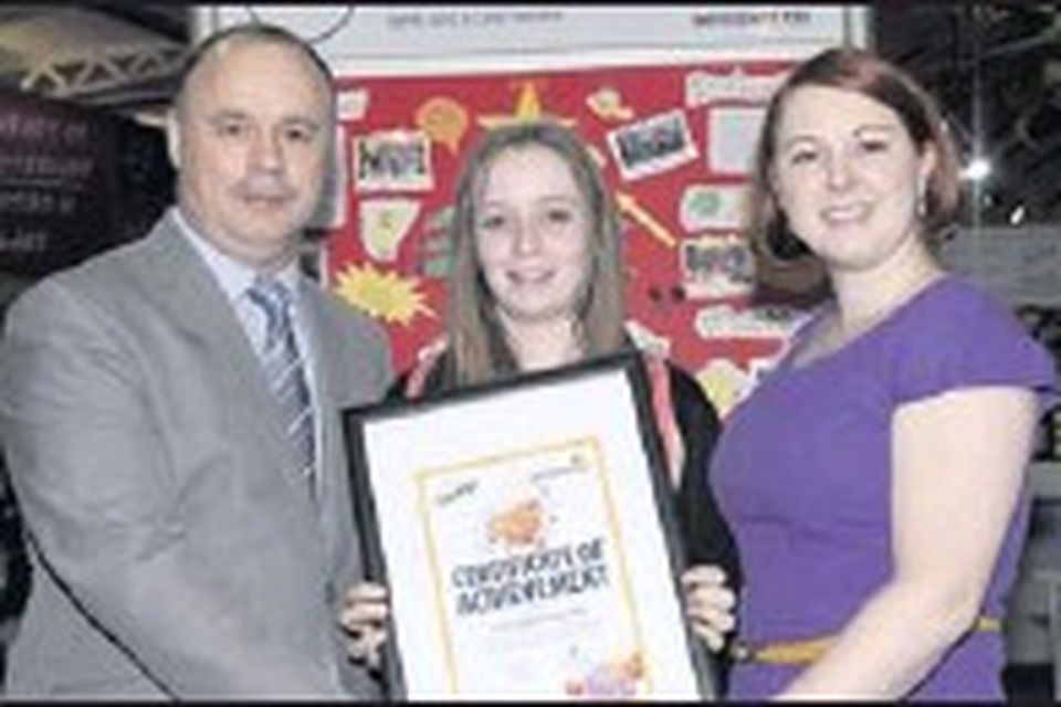 Wicklow youth projects at Foroige Youth Expo | Irish Independent