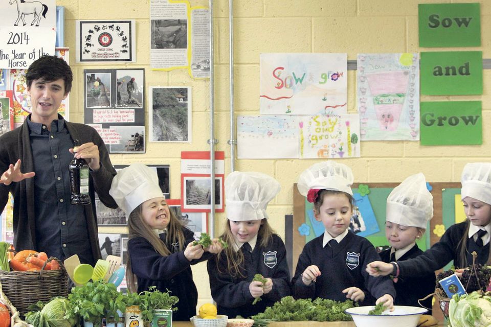 Grow it yourself: Broad bean is a taste of summer | Irish Independent