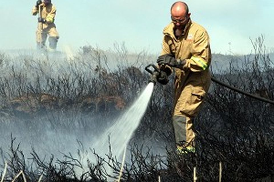 Scales of wildfires 'unprecedented' | Irish Independent