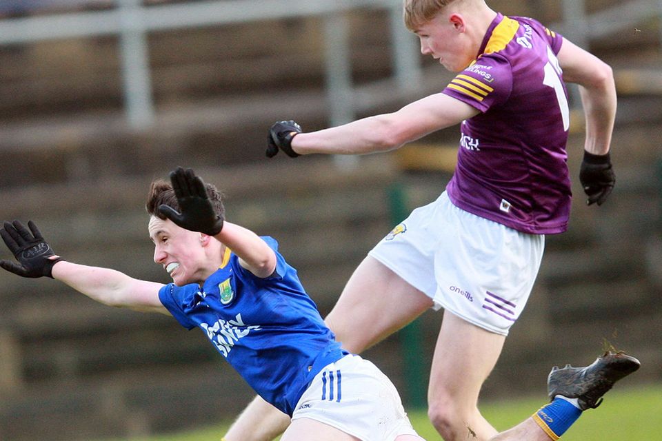 Wicklow Minor footballers secure a sweet victory over Wexford in the ...