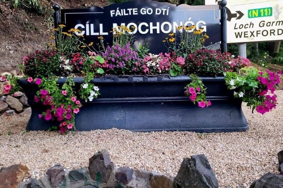 Kilmacanogue Diary | Irish Independent