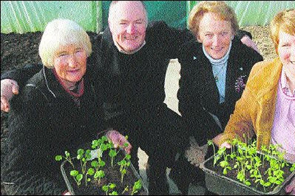 Care centre on growing spree | Irish Independent
