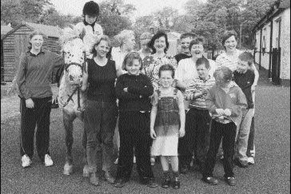 Locals urged to support walk for St Annes pony | Irish Independent