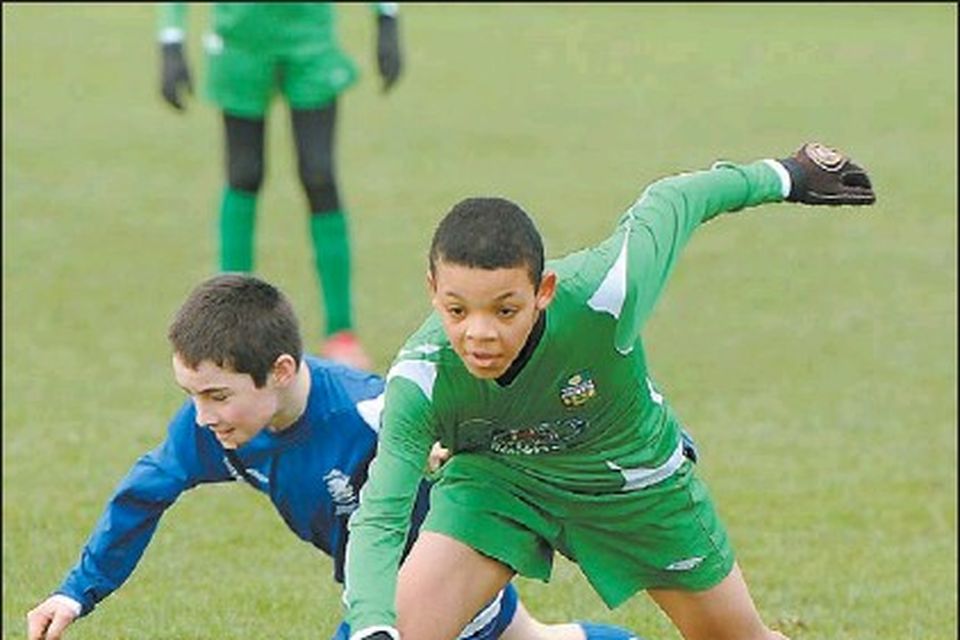 Kingdom Boys impress at home | Irish Independent