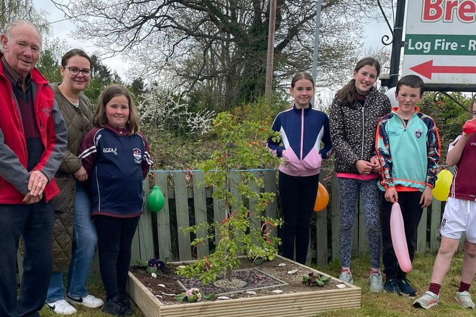 Wexford to feature on TG4 showcasing the revival of the May Bush ...