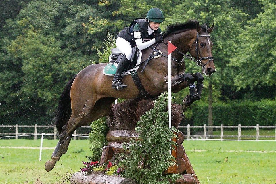 Young eventing star plotting another 'Miracle' summer season | Irish ...