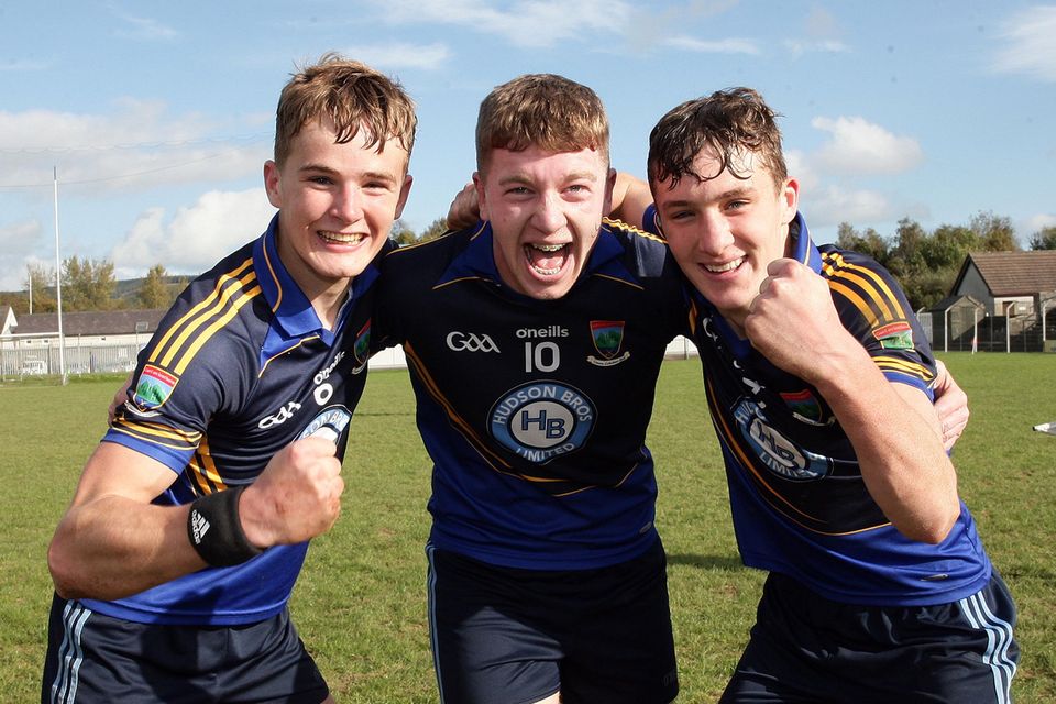 Can we find a way to give hurling a lift in the Garden County? | Irish ...