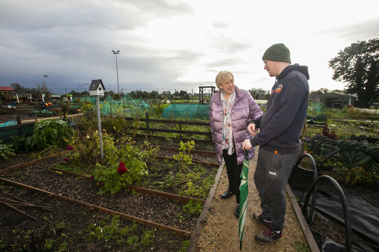 Enniscorthy community allotments now feature a new sensory garden and ...