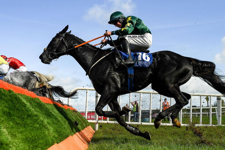 Tralee owners have every chance of winning Irish Grand National at ...