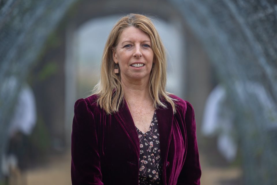 Offaly appoints Mary Hensey as new ‘Tourism Activator’ | Irish Independent