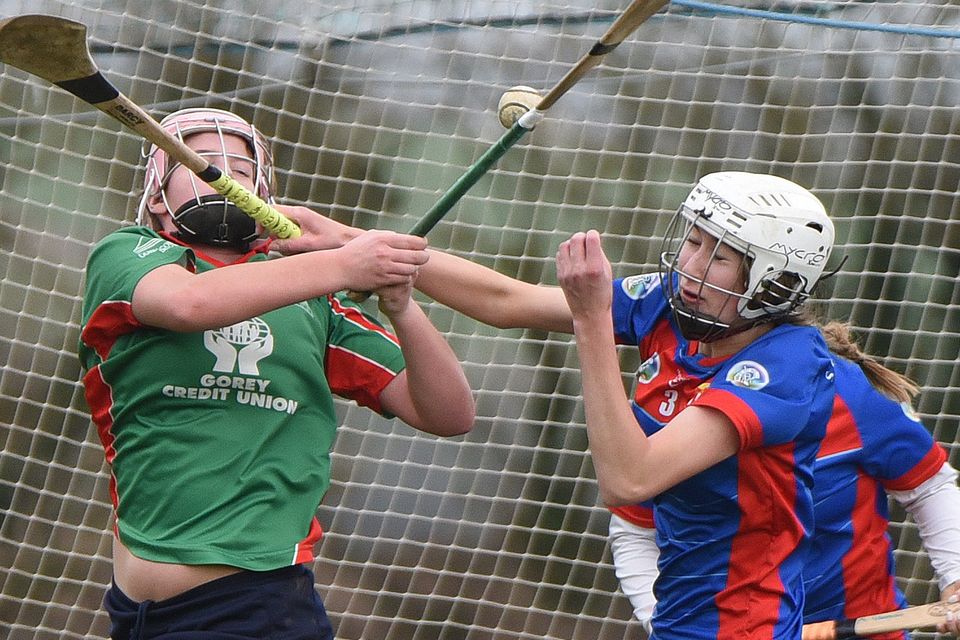 Gorey girls turn on the style to reach All-Ireland camogie final ...