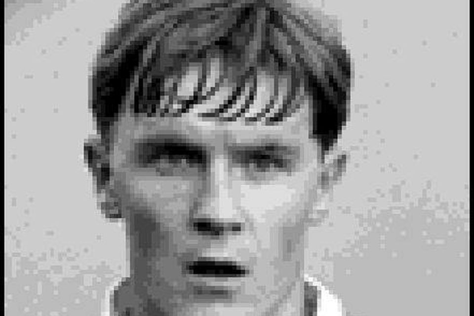 Murray minted with experience | Irish Independent