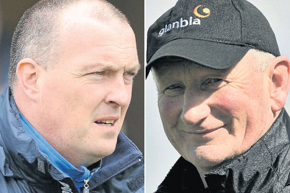 GAA's leading managers throw weight behind Yes campaign | Irish Independent